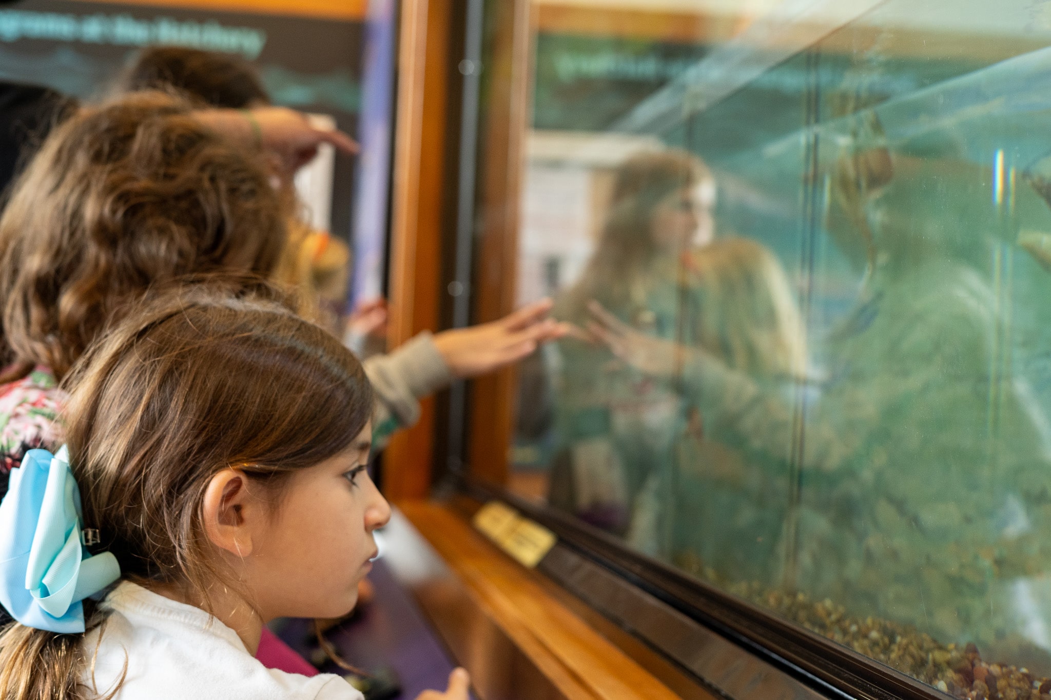 Beyond the Classroom - Global Idea School